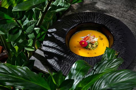 깍둑썰기한 아보카도와 게 필레를 얹은 망고 퓌레 수프 수프는 패턴이 있는 검은색 세라믹 접시에 붓습니다 근처에는 식용 보라색 꽃잎이 있습니다 접시는 회색 돌 배경에 서