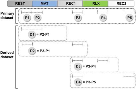 Schematic Diagram Describing Primary And Derived Datasets Eda Features