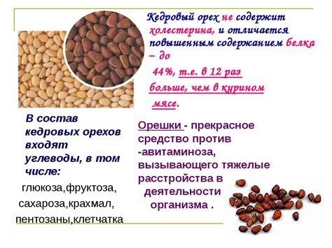 Польза кедровых орехов