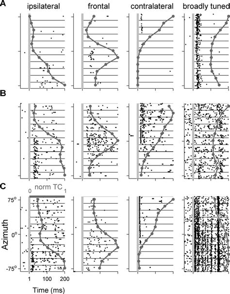 raster plots and normalized azimuth tuning curves dark gray line of
