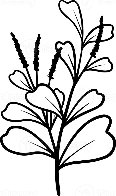 Hand Drawn Flower Sketch Line Art Illustration 10863914 Png