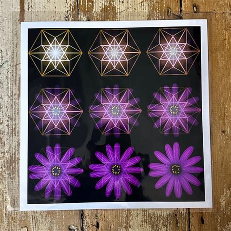 12” X 12” Art Prints Nature Of Flowers