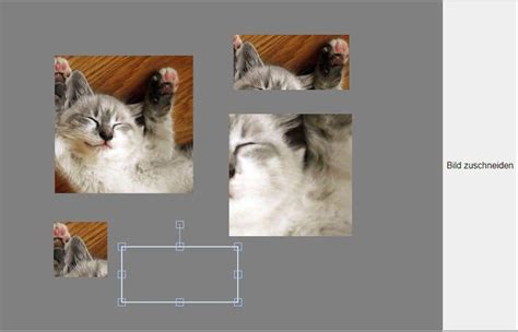 Entry 2 By Asfarwaheed01 For Small Project With Fabricjs Freelancer