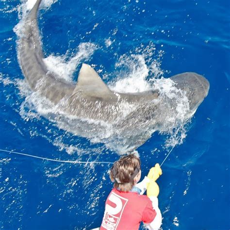 Nick Stanczyk Youtube