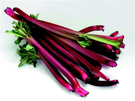 Cuisine Pratique La Rhubarbe Un Trésor Dacidité Et De Fruité