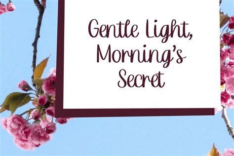 Crown Quill Font · 1001 Fonts