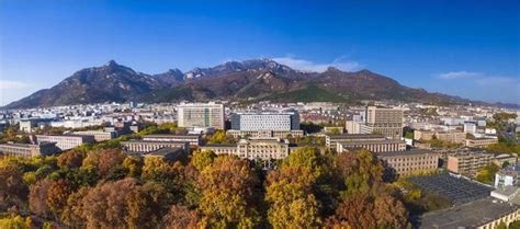 青塔：山東農業大學，牛！ 每日頭條