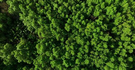 Andrew Dodd On Linkedin Sustainabilitygoals Sustainability Lto Datacenter Lastinginnovation