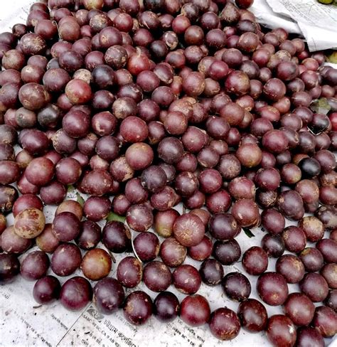 Techb Nutrigenomics Posted On Linkedin