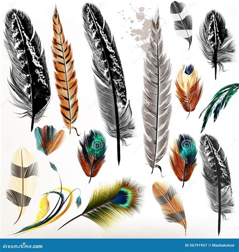 Sistema De Plumas Coloridas Realistas Del Vector Ilustración del Vector