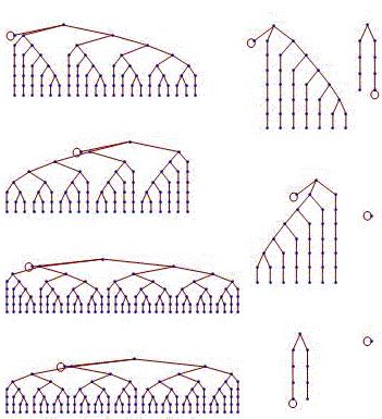 Automatyczne Generowanie Graf W Program Mathematica Firmy Wolfram