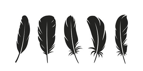 새 깃털 아이콘 세트입니다 다양한 모양의 깃털의 어두운 실루엣 새의 공중 깃털 또는 천사 날개 로고를 위한 디자인 Flat Vector Illustration