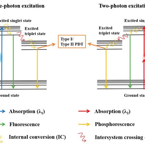 Photosensitizer Activation Through One Photon Excitation And Two Photon Download Scientific