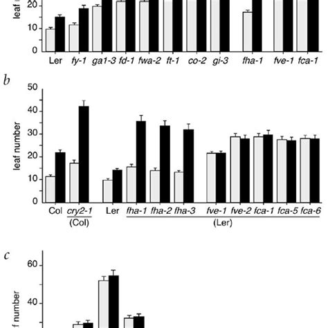 Effect Of Ambient Temperature On Flowering Time A Flowering Time Of Download Scientific