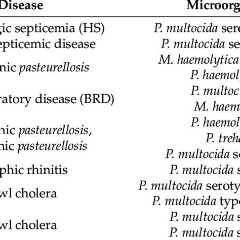 Diseases Caused By Pasteurella Organisms In Agricultural And Domestic