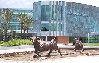 University Of South Florida Contemporary Art Museum Wikipedia
