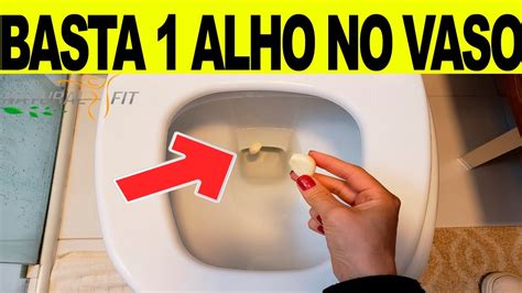 Coloque 1 ALHO No Vaso Sanitário a noite E De Manhã Você Ficará CHOCADA
