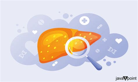 Liver Disease Prediction Using Machine Learning Tpoint Tech