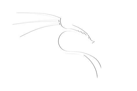 Kali Linux Dragon
