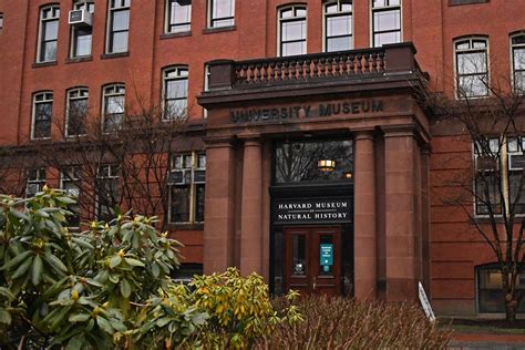 Harvard Museum Of Natural History Hosts National Fossil Day News