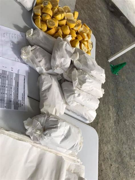 ΣΥΝΔΕΣΜΟΣ ΓΟΝΕΩΝ Α ΔΗΜΟΤΙΚΟΥ ΣΧΟΛΕΙΟΥ ΠΑΛΟΥΡΙΩΤΙΣΣΑΣ