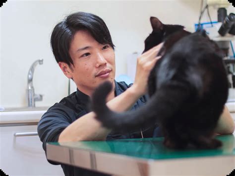 神戸市須磨区で腎臓病・心臓病が診れるおおした動物病院