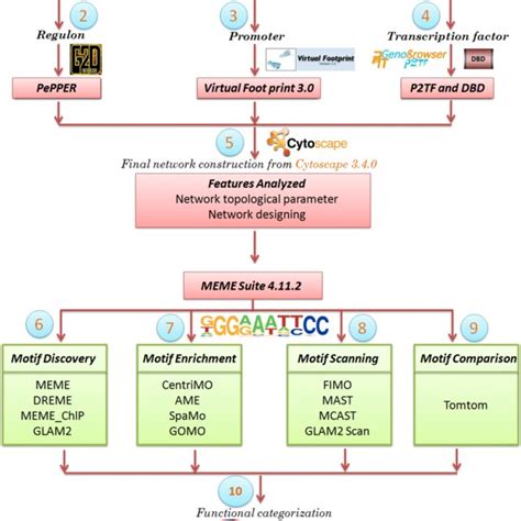 Flowchart Of A Computational Process Used For Reconstruction Of A Download Scientific Diagram