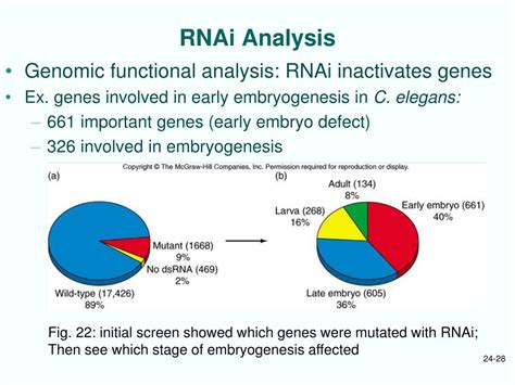 Ppt Chapter Topics Genomics Proteomics Bioinformatics