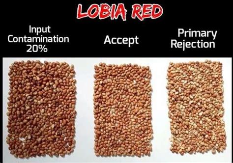 Semi Automatic Powder Coated Peanut Color Sorting Machine Single Phase