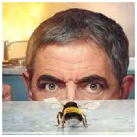 Man Vs Bee
