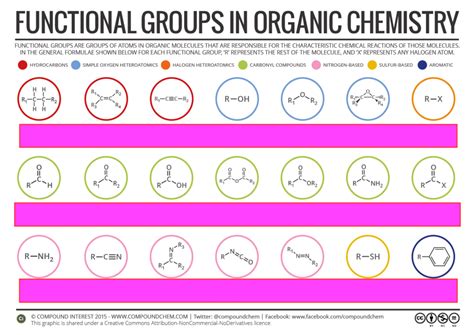 Functional Group Diagram Quizlet