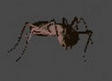 Rendering How Can I Rid My Cal Shaded Animation Render Of This