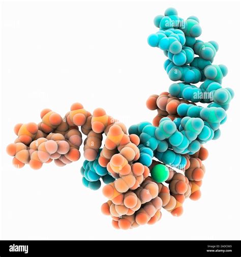 Engineered Nanotriangle Molecule Computer Model Of An Engineered Self
