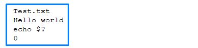 A Bash Status Of Last Command DiskInternals
