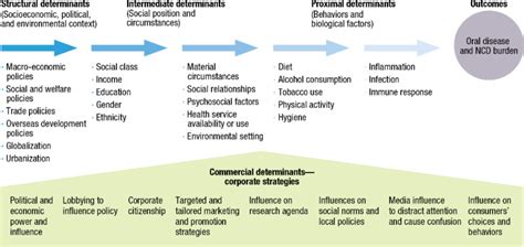 Defining And Conceptualising The Commercial Determinants Of