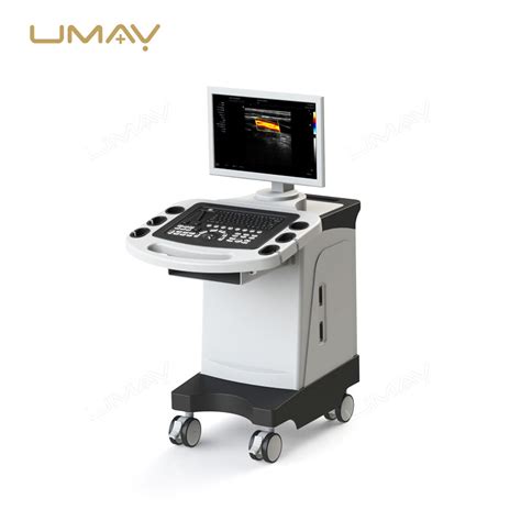 3d Imaging Color Ultrasound Machine With Linear And Convex Probes For