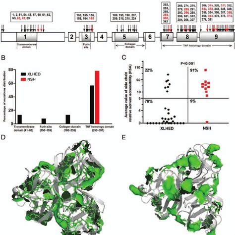 Eda1edar Signaling Pathway Eda1 Binds To Its Receptor Edar And Edar