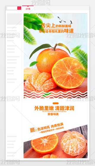 金桔美味专题模板 金桔美味图片素材下载 我图网