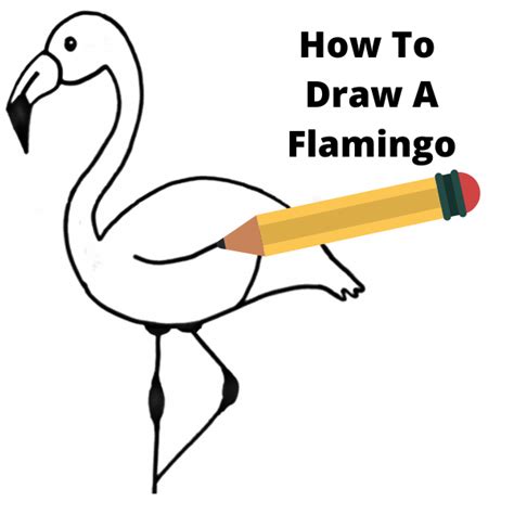 How To Draw A Flamingo Easy Step By Step Drawing Tutorial