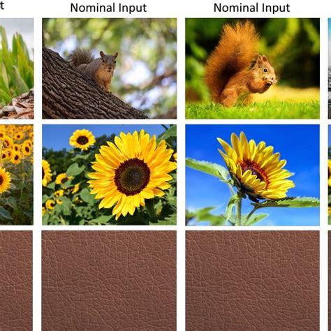 Shown Are Different Settings For Anomaly Detection On Images Download Scientific Diagram