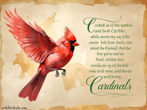 Cardinal Symbolism What This Brilliant Red Bird Really Means