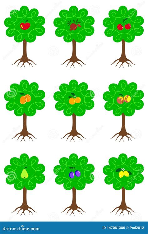 Set Of Different Cartoon Fruit Trees With Ripe Fruits And Roots Isolated On White Background