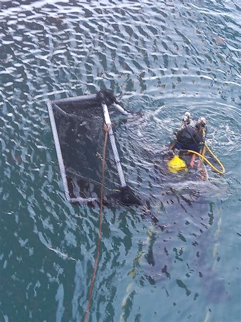 Erongo Desalination Plant — Commercial Diving Services