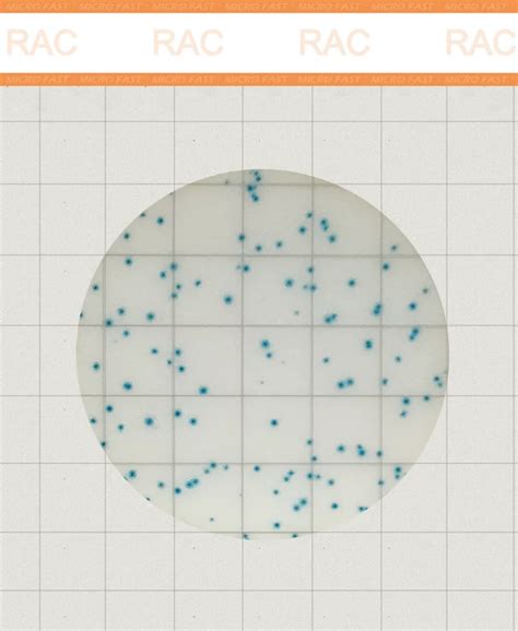 Microfast Premium Rapid Aerobic Count Plate Phoenix Scientific Co Ltd