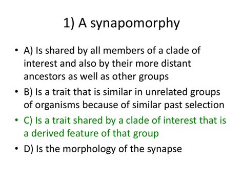 1 A Synapomorphy