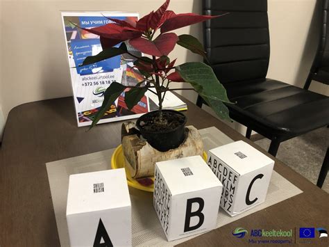 Поздравления с Рождеством и наступающим Новым 2020 годом на эстонском языке Abckeeltekool