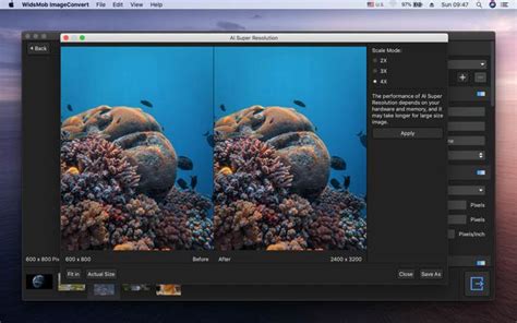 2 Methods To Resize Image In Preview And Its Best Alternative