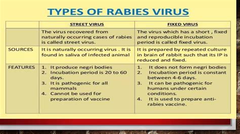 Rabies Viruspptx