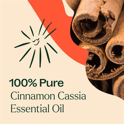 Cinnamon Cassia Essential Oil Plant Therapy