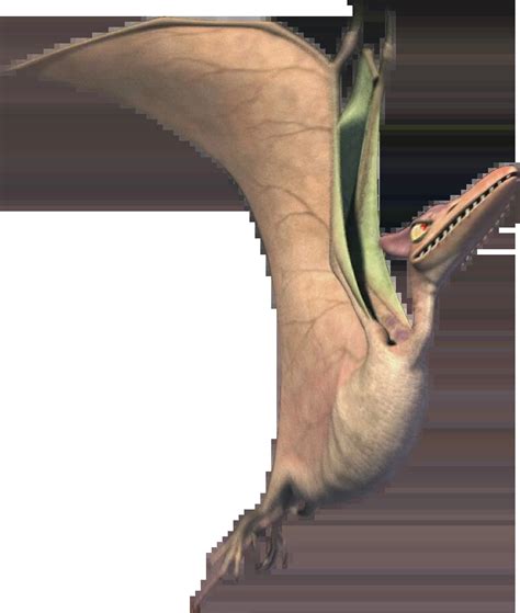 Roger Pteranodon Ice Age Wiki Fandom